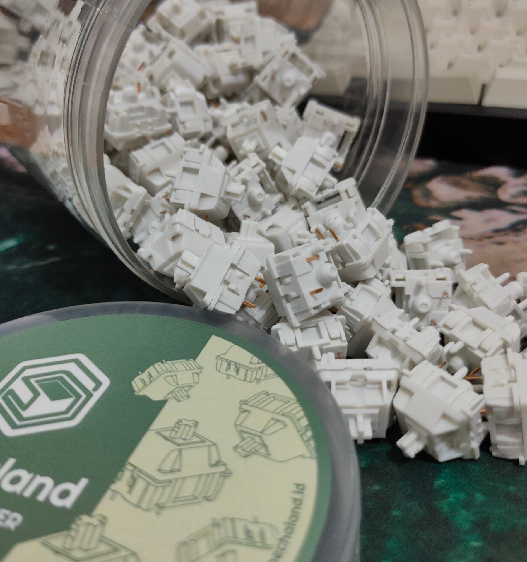 Switches – mechaland